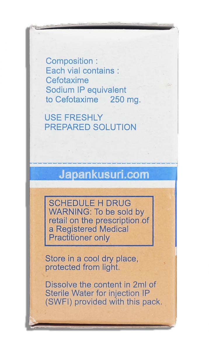 セフォタキシム 通販