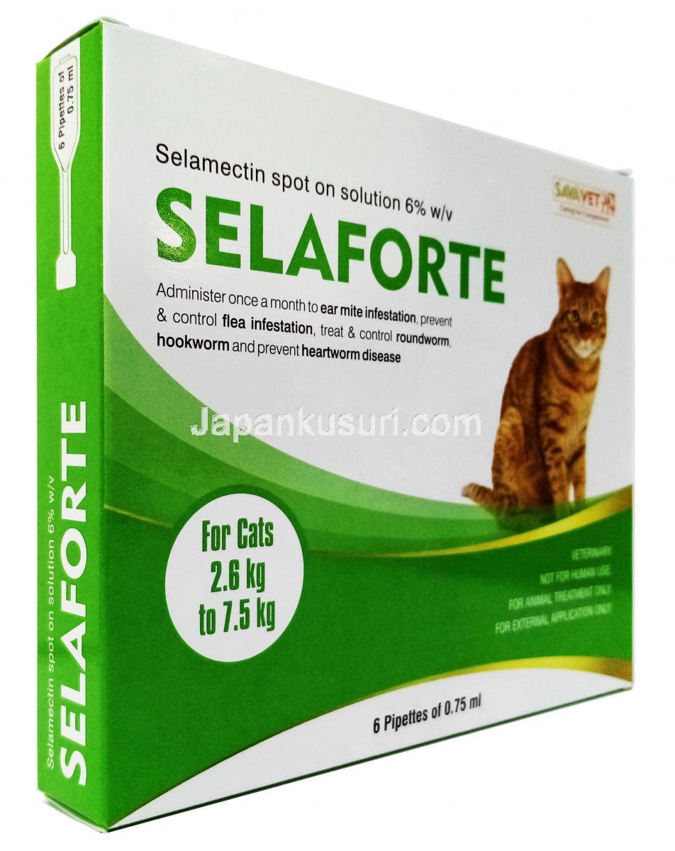 セラフォーテ 通販